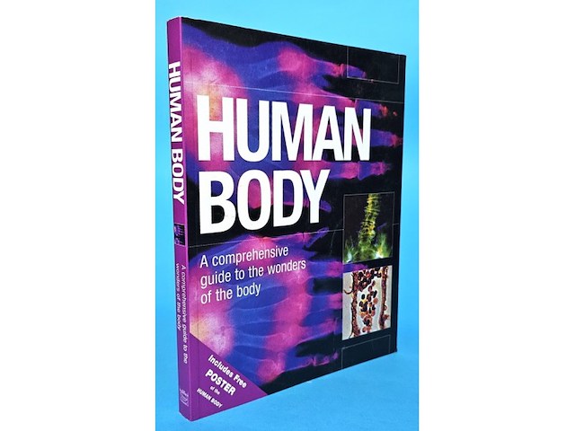 Human Body