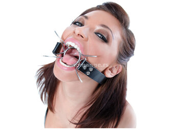 Fetish Fantasy Extreme Spider Gag