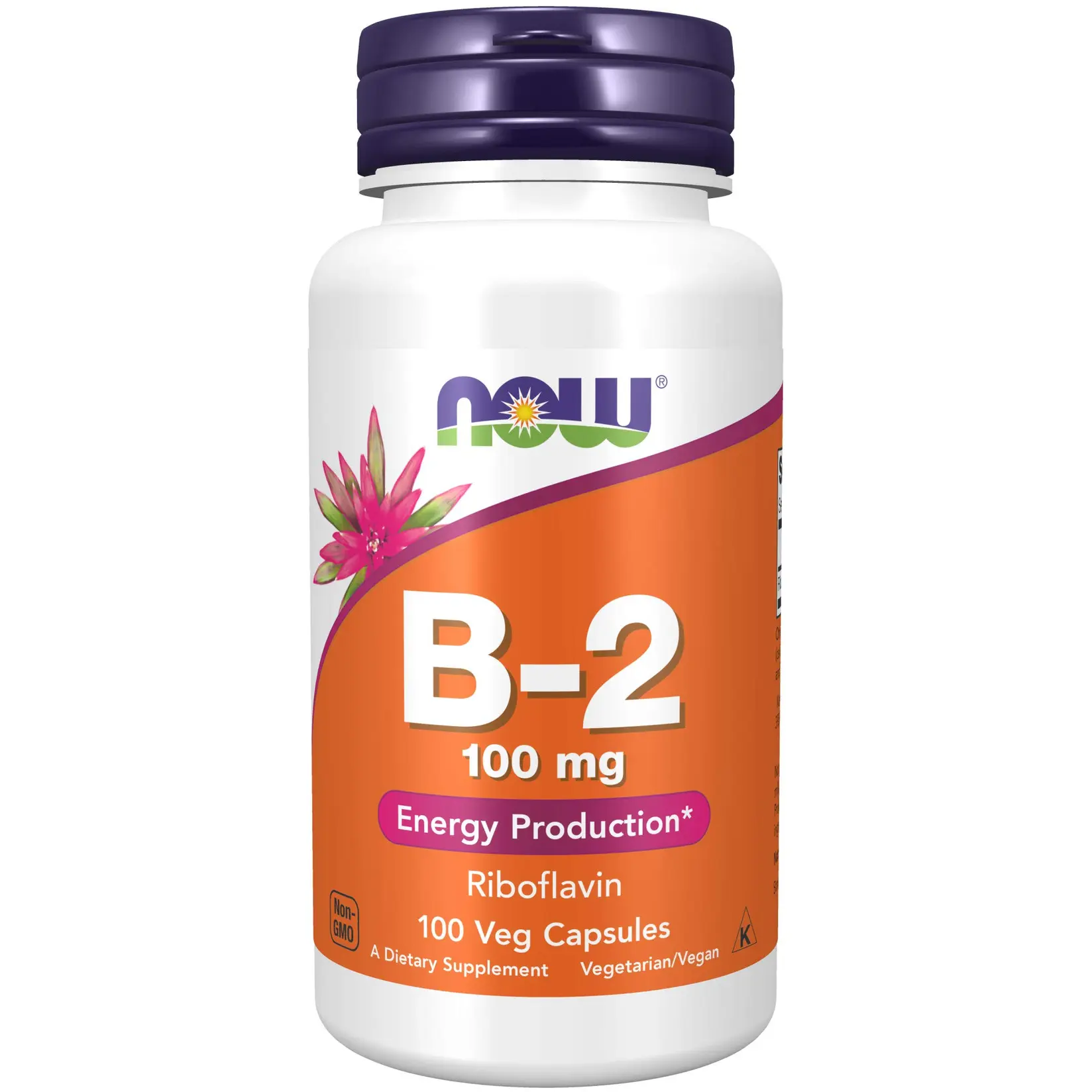 NOV FOODS Vitamin b-2 100 mg / 100 kapsula