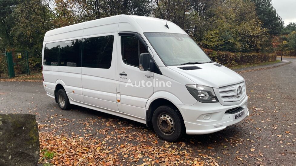 Prodaje se Mercedes-Benz SPRINTER 513 BLUETEC putnički minibus na aukciji