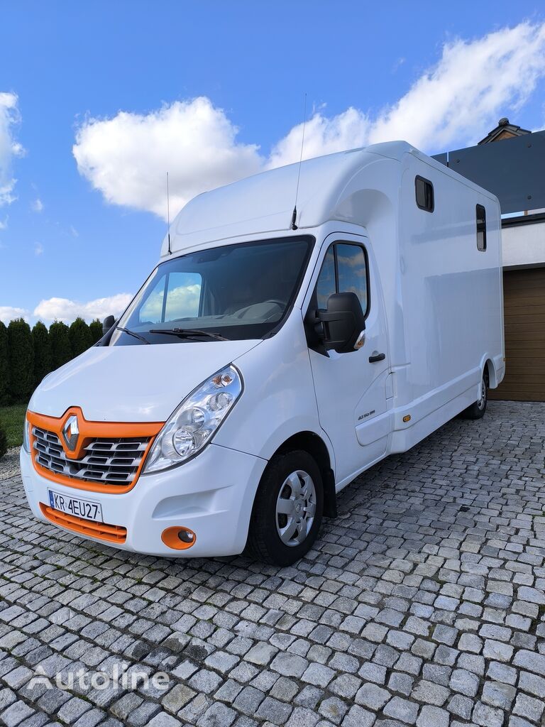 Renault Master vozilo za prevoz konja