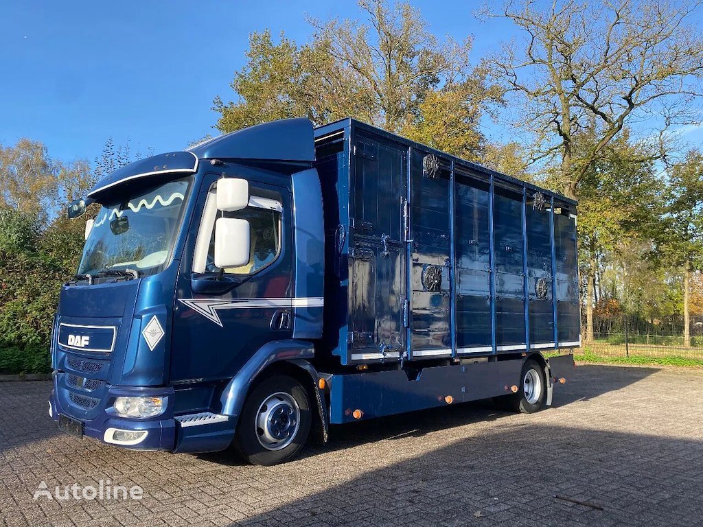 DAF LF 280 Livestock Veewagen 1 stock kamion za prevoz stoke