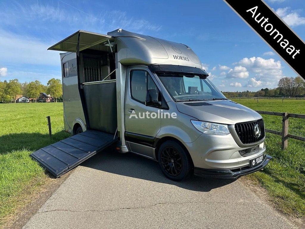 Mercedes-Benz Sprinter 317 AMG 2-paards Paardenvrachtwagen B-rijbewijs kamion za prevoz stoke