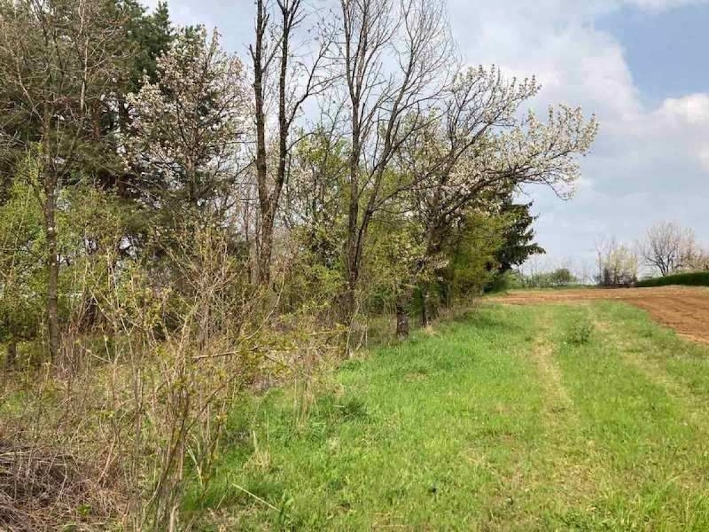 Banstol. Uknjižen građevinski plac izvan građevinske zone.