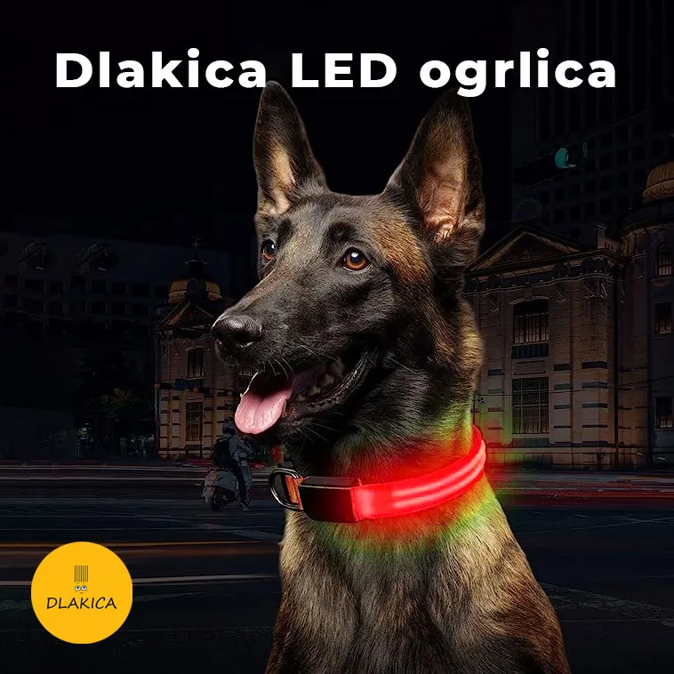 Dlakica LED ogrlica