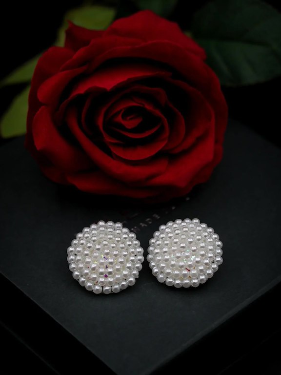 Earrings E2610