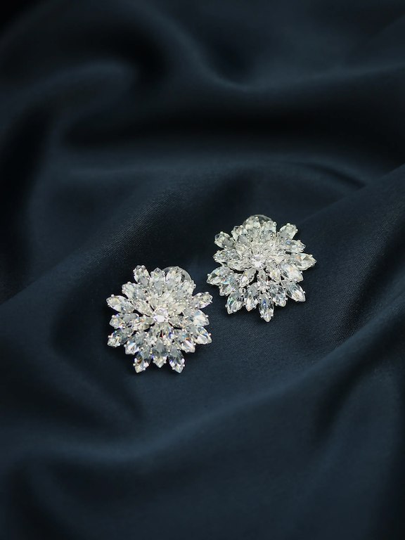 Earrings E2606