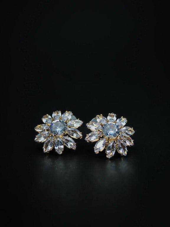 Earrings E2596