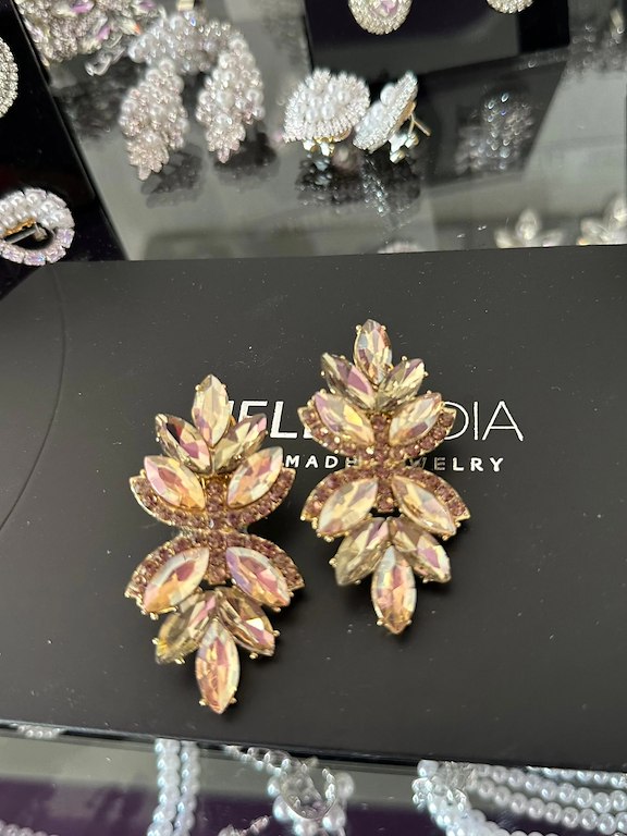 Earrings E2573