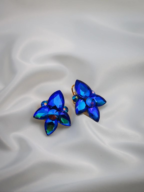 Earrings E2516