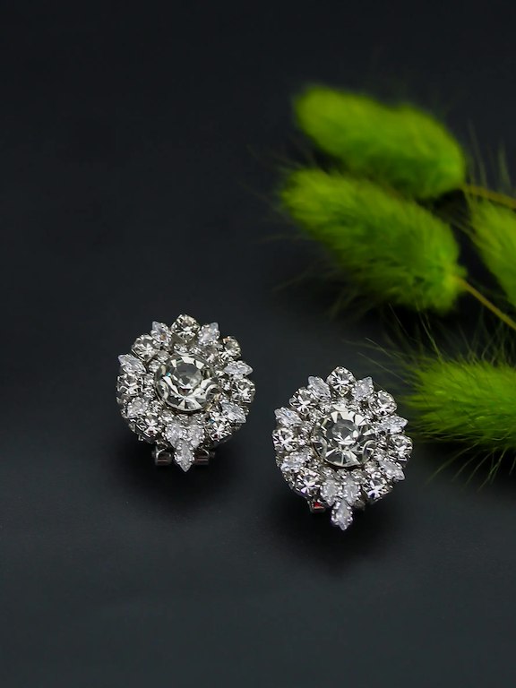 Earrings E2468