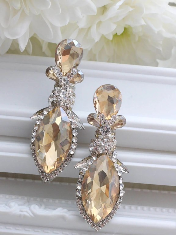 Earrings E0841