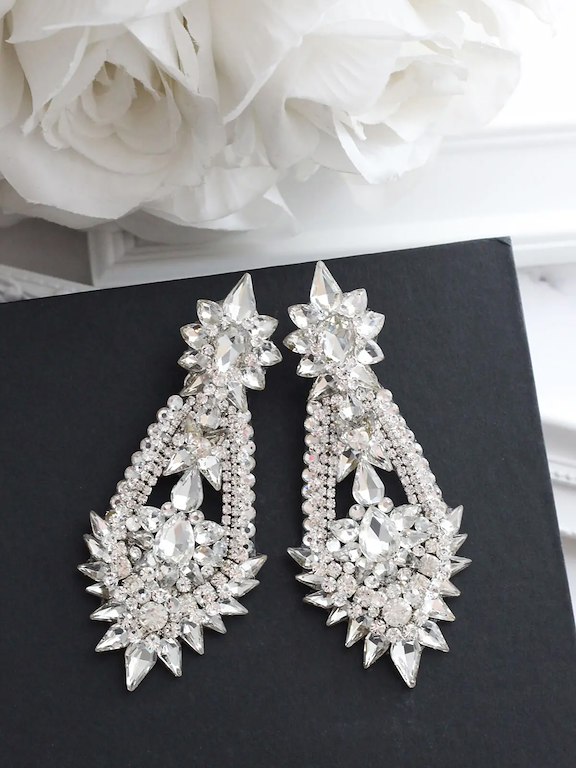 Earrings E0679