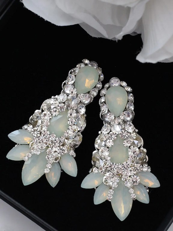 Earrings E0651