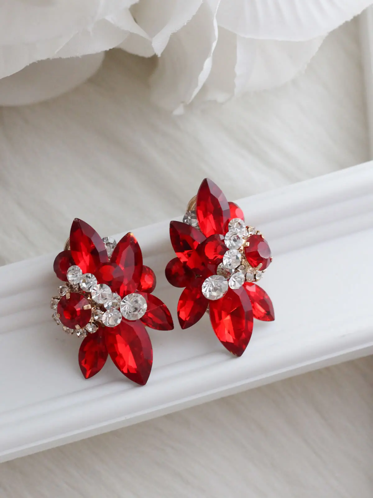 Earrings E0525