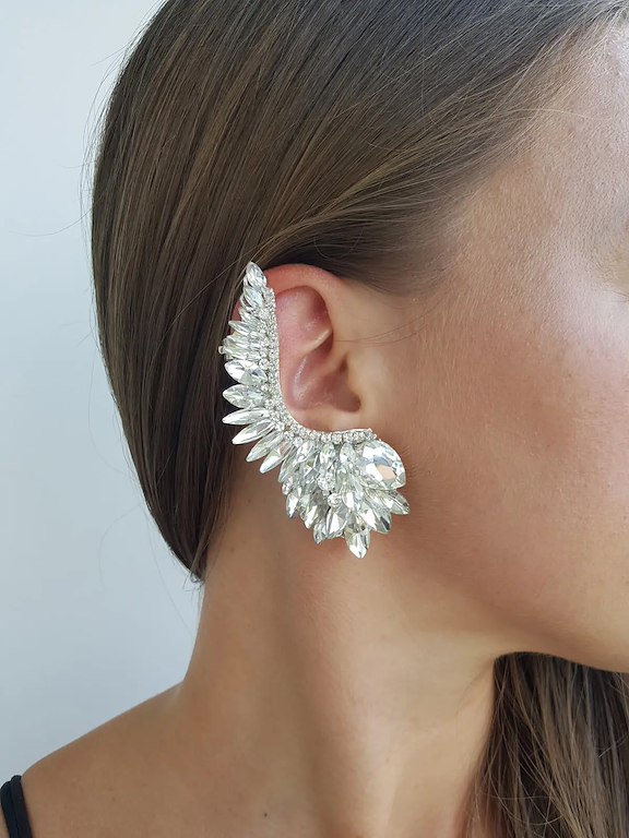 Earrings E0489