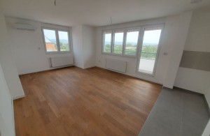 Prodajem Stan-Apartman, Nova Detelinara