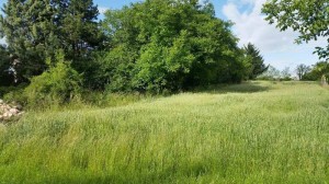 Banstol. Uknjižen građevinski plac izvan građevinske zone.