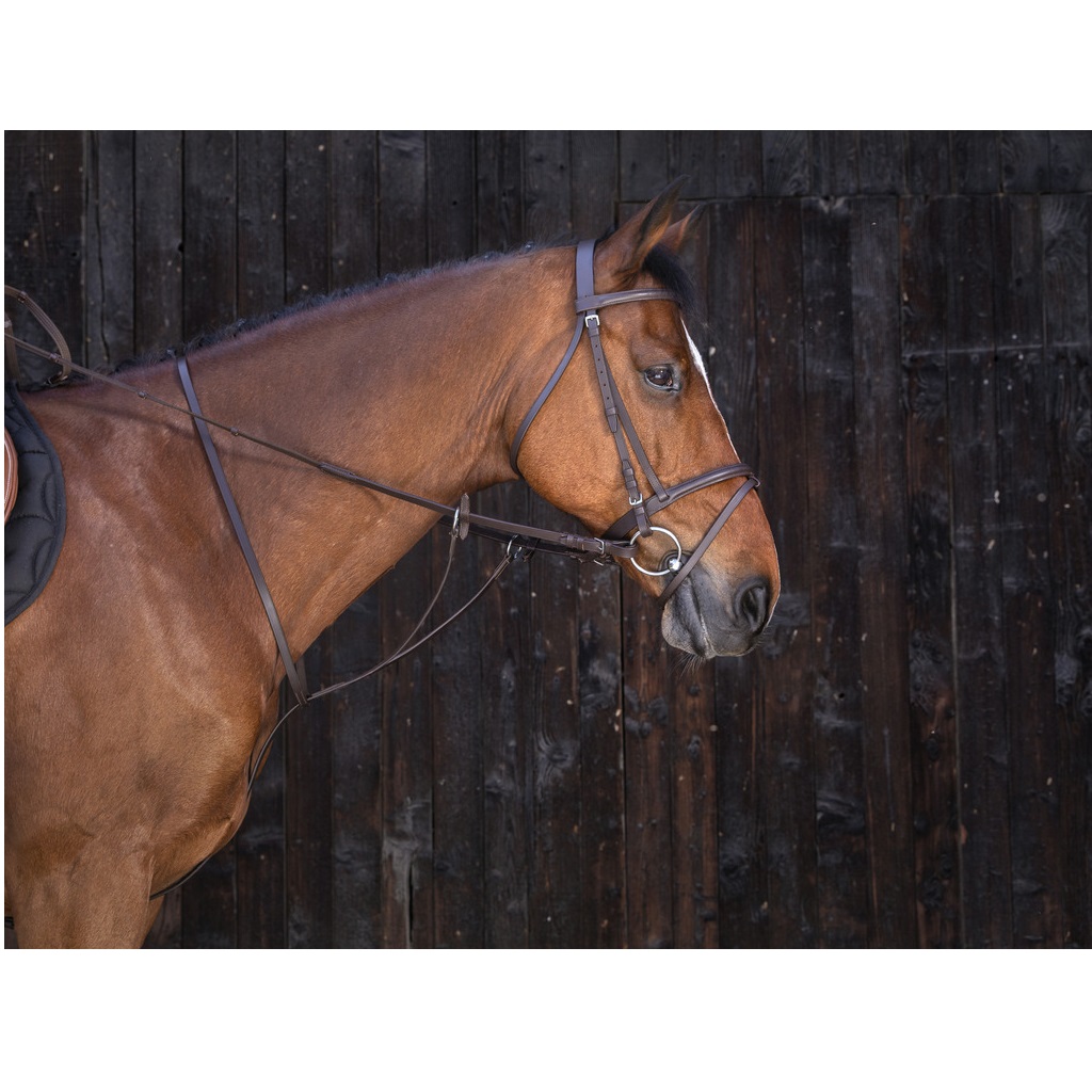 Kožni martingal Riding World