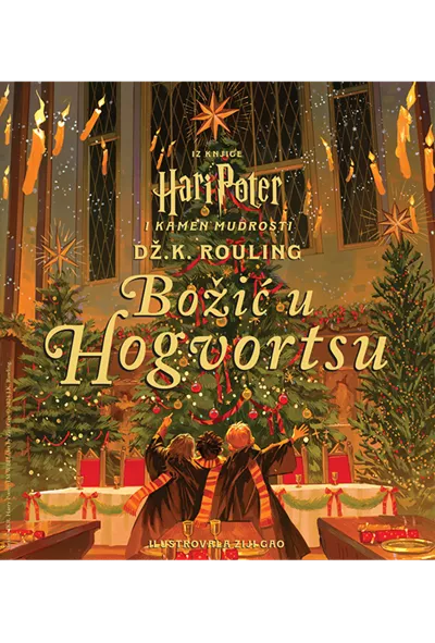 Čarobna knjiga HARRY POTTER božić u Hogvortsu