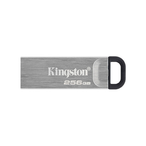 KINGSTON DTKN/256GB USB 3.2