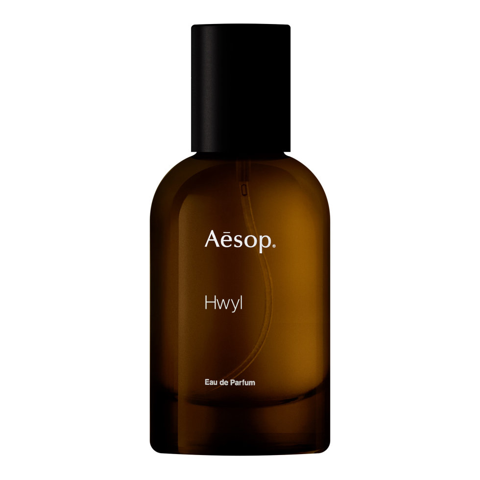 Aesop Hwyl