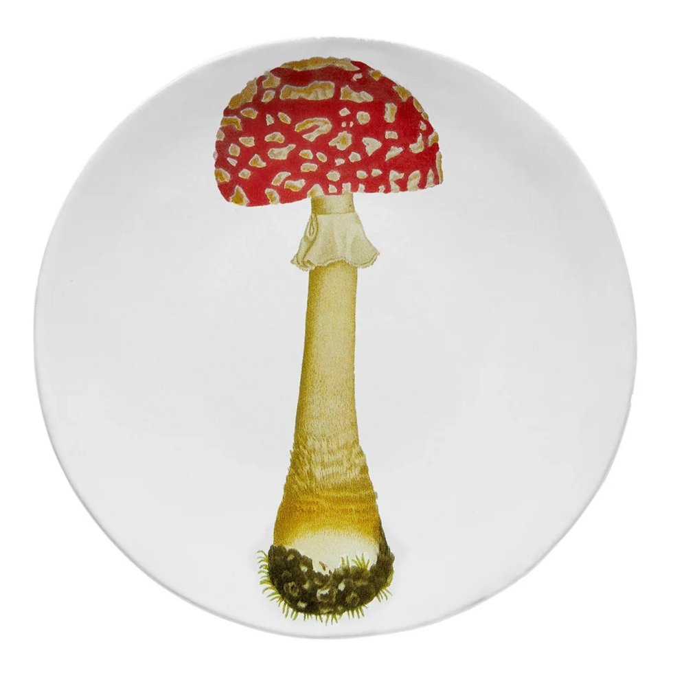 Astier De Villatte Agaric Fausse Orange Dinner Plate