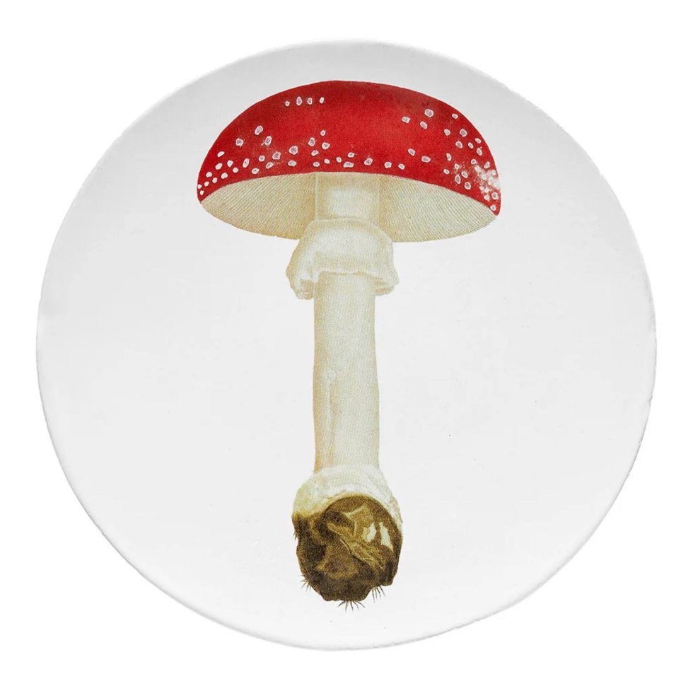 Astier de Villatte Agaric Fausse Oronge Plate