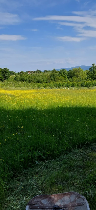 Domaca rakija