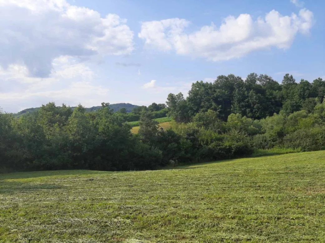 Prodaja, zemljište, 14000m2, Tijanje, Lučani