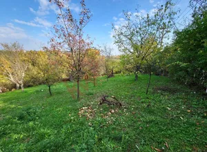 Prodaja Građevinsko zemljište - Barajevo, Barajevo