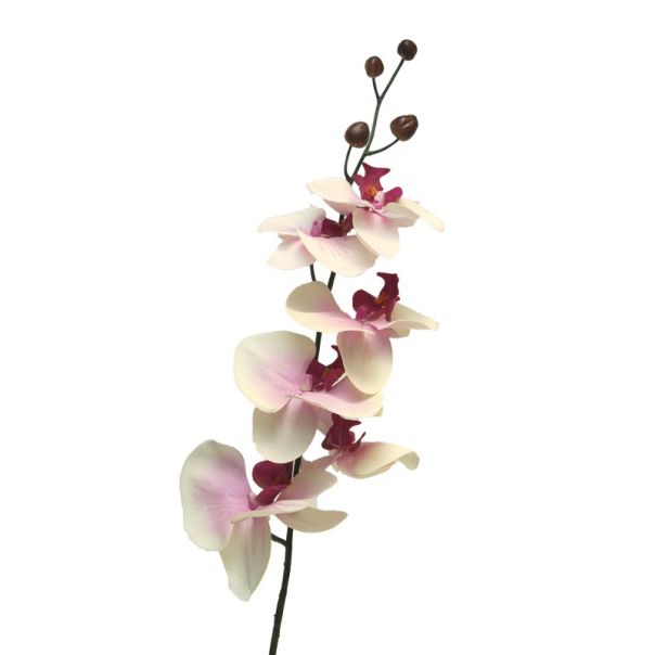 DEKOR DOM Cvet 78cm Orchid, krem/lila