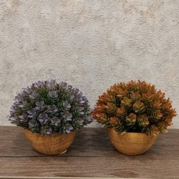 DEKOR DOM Cvet u saksiji - SUCCULENT HX0461 - N38