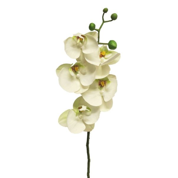 DEKOR DOM Cvet 58cm Orchid, bela