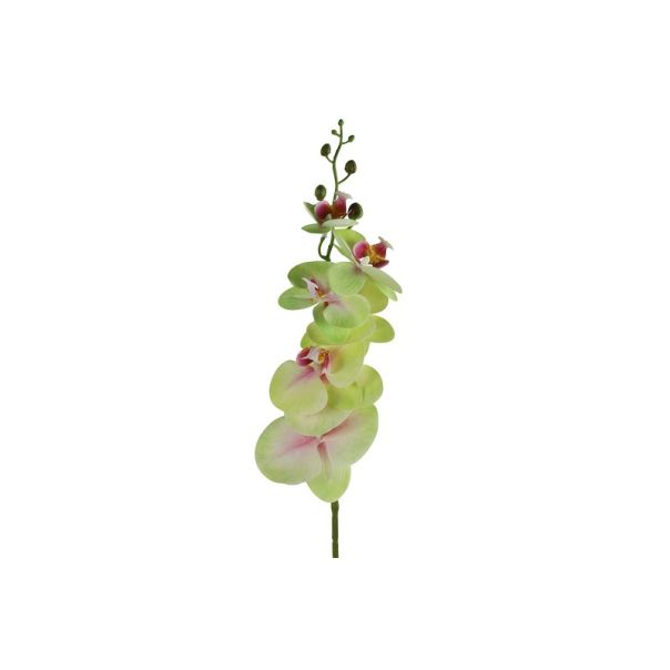 DEKOR DOM Cvet 83cm Orchid, zelena