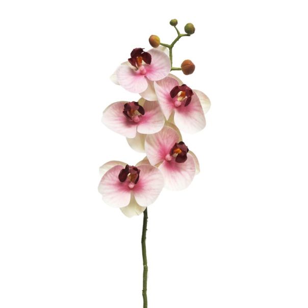 DEKOR DOM Cvet 58cm Orchid, pink