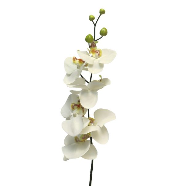 DEKOR DOM Cvet 78cm Orchid, krem