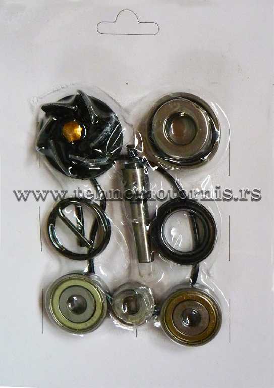 Set za reparaciju vodene pumpe Piaggio250cc(Beverly/X8/X9)Gillera 250/300cc 4t (100110210) tw