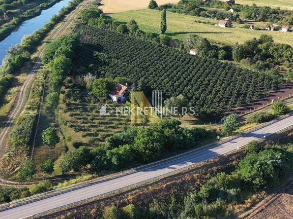 Plantaža lešnika sa vikend kućom