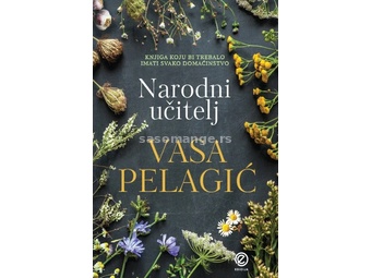 Pelagić narodni učitelj - Vasa Pelagić