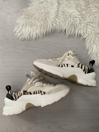 Zara zebra patike