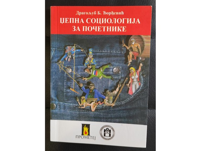 Džepna sociologija za početnike - Dragoljub Đorđević