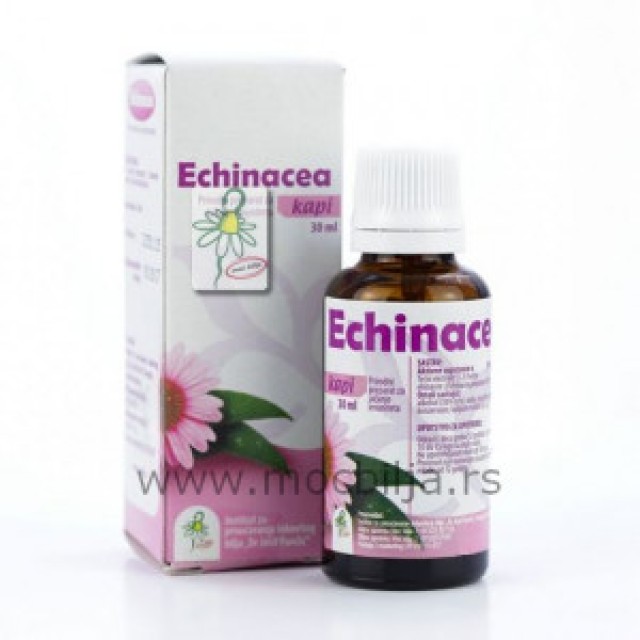 ECHINACEA KAPI 30ML