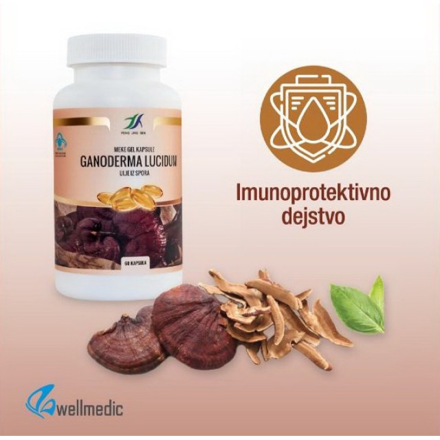 GANODERMA LUCIDUM