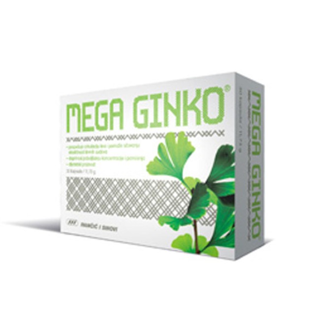 MEGA GINKO KAPSULE A30