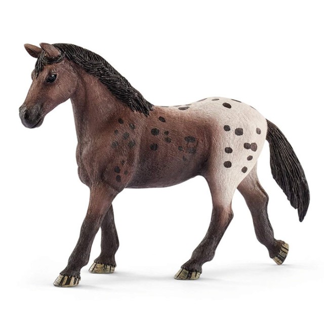 SCH. APPALOOSA KOBILA  13861