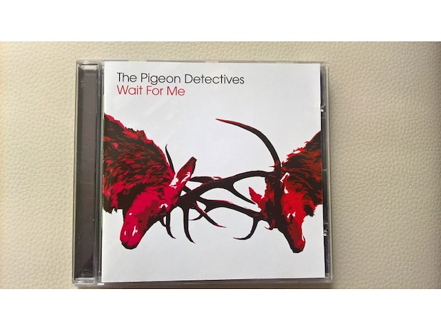 The Pigeon Detectives - Wait For Me