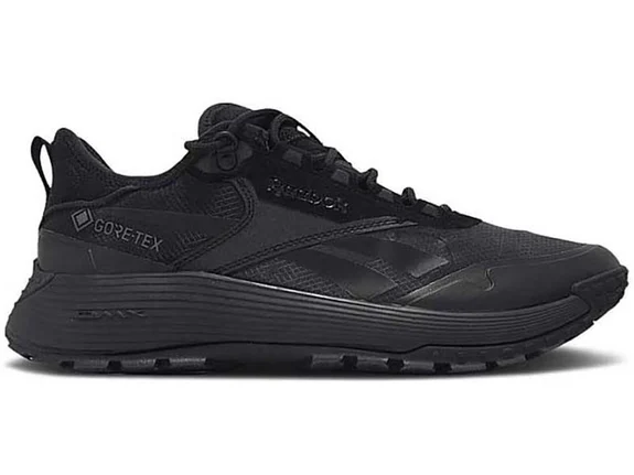 Reebok Muške patike DMX Trail GTX 100074961