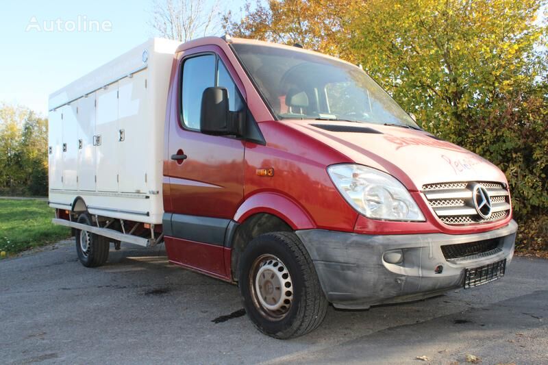 Mercedes-Benz Sprinter 310 kamion za dostavu sladoleda < 3.5t