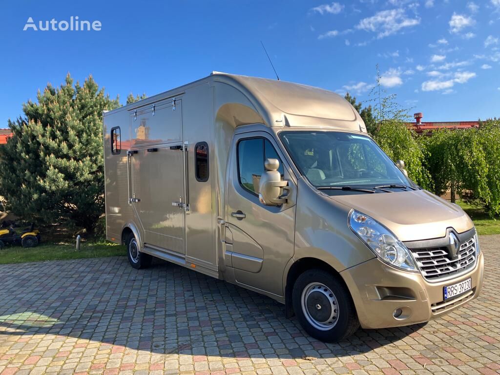 Renault Master vozilo za prevoz konja